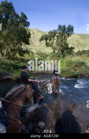 Naalapa Stables Horseback riding Waipio Valley Hamakua Coast Island of ...