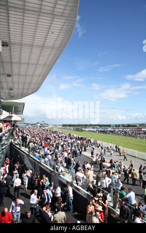 Crowd watching a race at the Galway Races, Ireland Stock Photo - Alamy