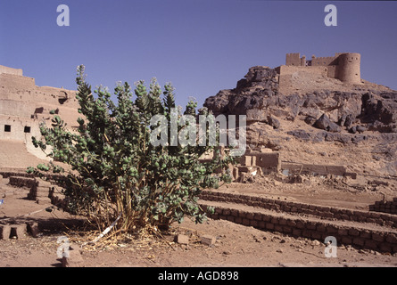 Libya the historical french fortress castle of Ghat Stock Photo - Alamy