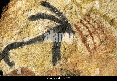 Cave Art - Lascaux - Prehistoric cave painting of running horse, from ...