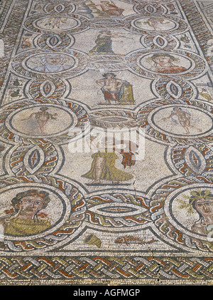 Mosaic or tessellated pavement in the floor of an old roman house with ...