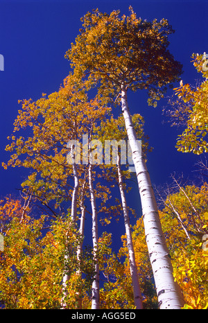 Sunny rural landscape of Torrey, Utah, USA Stock Photo - Alamy