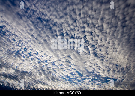 Altocumulus Cloud formation on a blue sky day Stock Photo - Alamy