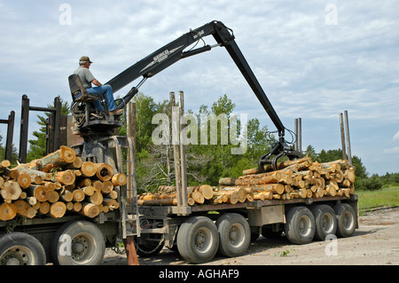 Michigan Upper Peninsula logging truck industry Stock Photo - Alamy