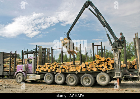 Michigan Upper Peninsula logging truck industry Stock Photo - Alamy
