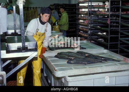 USA Alaska Anchorage salmon processing plant Stock Photo - Alamy