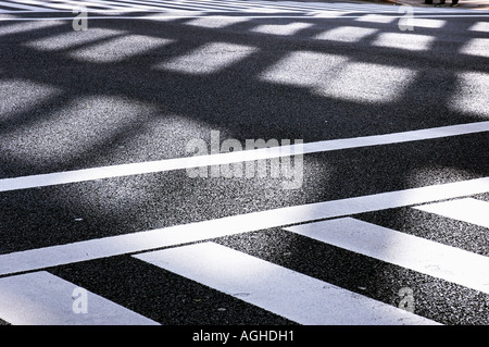 reflections in asphalt, Tokyo, Japan Stock Photo - Alamy