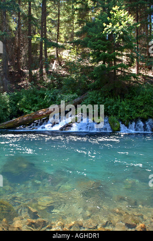 Oregon beautiful Metolius river Stock Photo - Alamy