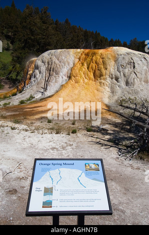 Orange Spring Mound, Yellowstone NP. Montana Stock Photo - Alamy