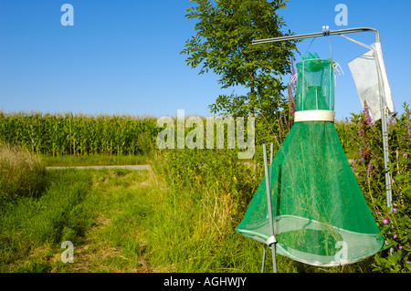 A trap for European Corn Borer (Ostrinia nubialis) pheromone-baited ...