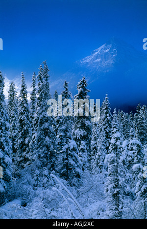 beautiful scene in Banff national park, Albert, Canada Stock Photo - Alamy
