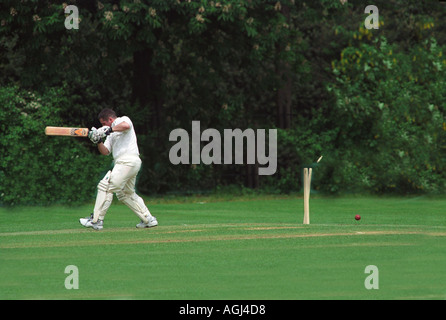 Broken Cricket Bat Stock Photo: 21130086 - Alamy