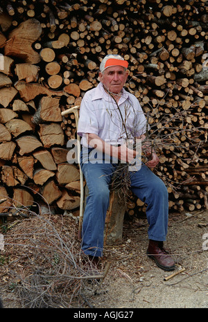 Pile Of Kindling Stack Of Twigs Stock Photo - Alamy