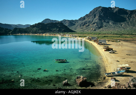 Playa el Burro, Mulegé, Baja California Sur, Mexico. Cholla cactus in ...