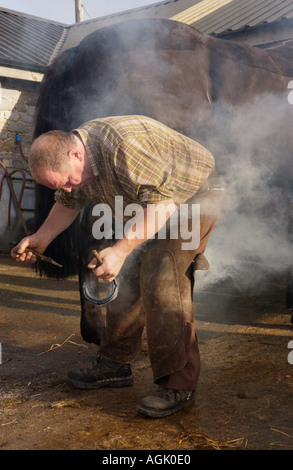 Mobile farrier hot shoeing horse in farm yard UK Stock Photo - Alamy