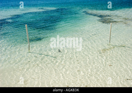 A coastal scene from Isla Mujeres, Mexico Stock Photo - Alamy