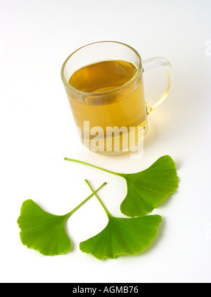 Ginkgo biloba infusion Stock Photo - Alamy