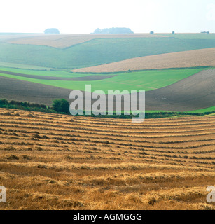 Rolling hills of Salisbury Plain Stock Photo - Alamy