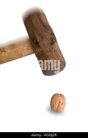 A sledgehammer to crack a nut Stock Photo - Alamy