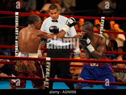New York August 5 2006 HBO World Championship Boxing at the Theater at ...