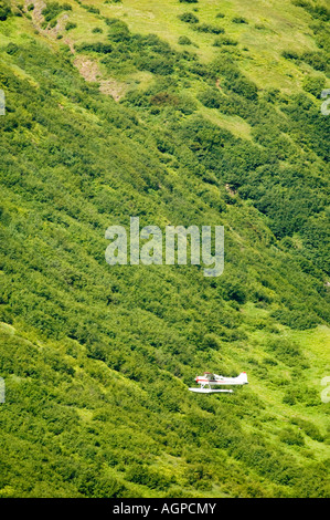 green forest landscape Stock Photo - Alamy