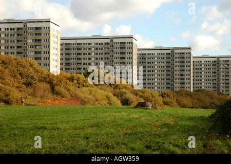 Weston tower blocks Southampton England UK Stock Photo - Alamy