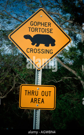 Angler with Atlantic halibut (Hippoglossus hippoglossus), Homer, Alaska ...