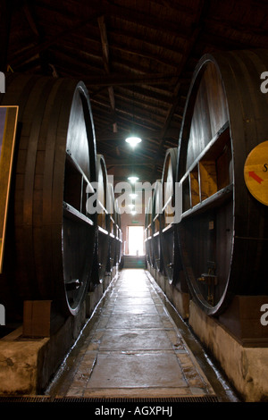 Oak barrels, Bodega La Rural (winery), Mendoza Province, Argentina ...