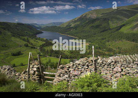 traditional stone gate or stile in a dry stone wall with flowers and ...
