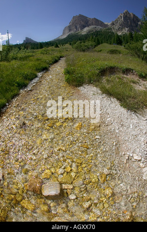 clear spring water stream of the Dolomites in the European Alps in ...