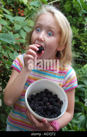 Little girl picking blackberry in raspberry self-picking plantation in ...