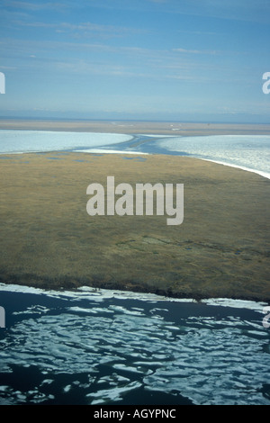 aerial image of spring break up along the Arctic coast 1002 coastal ...