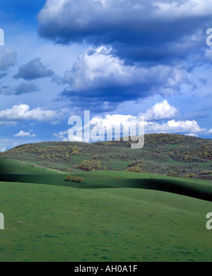Rolling fields in Utah Stock Photo - Alamy
