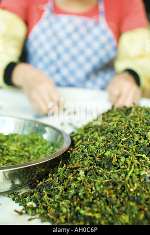 Woman sorting tea leaves, cropped view of hands Stock Photo - Alamy