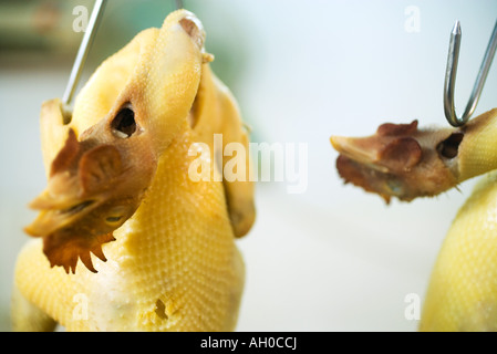 Raw skinned chickens hanging from hooks Stock Photo - Alamy