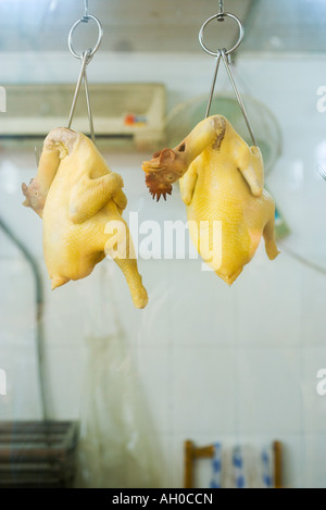 Raw skinned chicken hanging from hook Stock Photo - Alamy