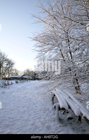 Trees covered with snow lean over a reflecting water surface in winter ...