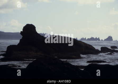 Rock formations at Point of Arches, Shi Shi Beach, Olympic National ...
