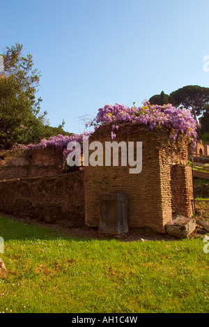 Rome Italy Ruins Brick Work Overgrown With Wild Flowers Stock Photo - Alamy