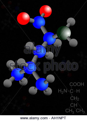 Chemical formula, structural formula and 3D ball-and-stick model of L ...