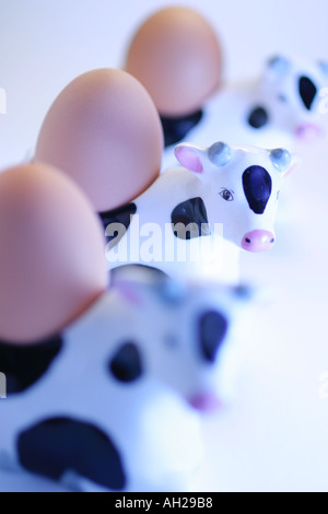 Eggs on Cow Egg Holders Stock Photo - Alamy