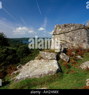 View over Burrator Reservoir in Devon Stock Photo - Alamy