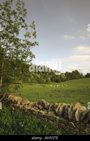 A dry stone wall and a rolling Cotswold landscape near the Cotswold ...