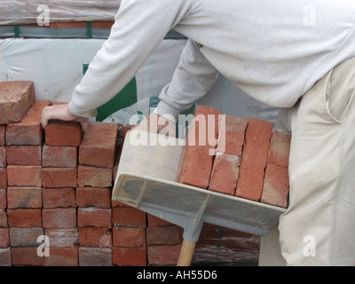 Close up hod carrier labourer man with full heavy load of facing bricks ...