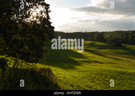 Evening sunlight in Misarden Park in the Cotswold village of Miserden ...