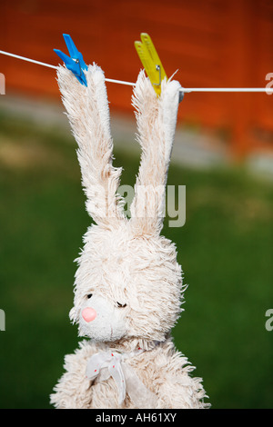 Soft toy rabbit hanging out to dry on a washing line Stock Photo - Alamy