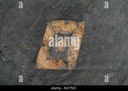 Mineral Andalusite, Cross section of crystals exposed in cut and ...