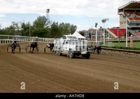 Starting Gate for Harness Racing. Horse Racing. Canfield Fair. Mahoning ...