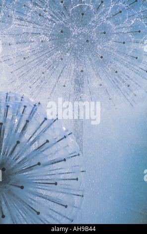 The Ferrier fountain Dandelion shaped fountains outside the ...