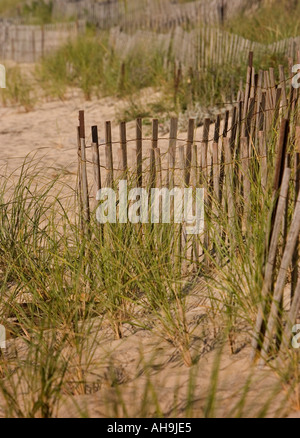 Fence to stop erosion of dunes Stock Photo - Alamy